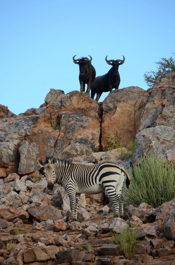 Experiences – Quiver Tree Route