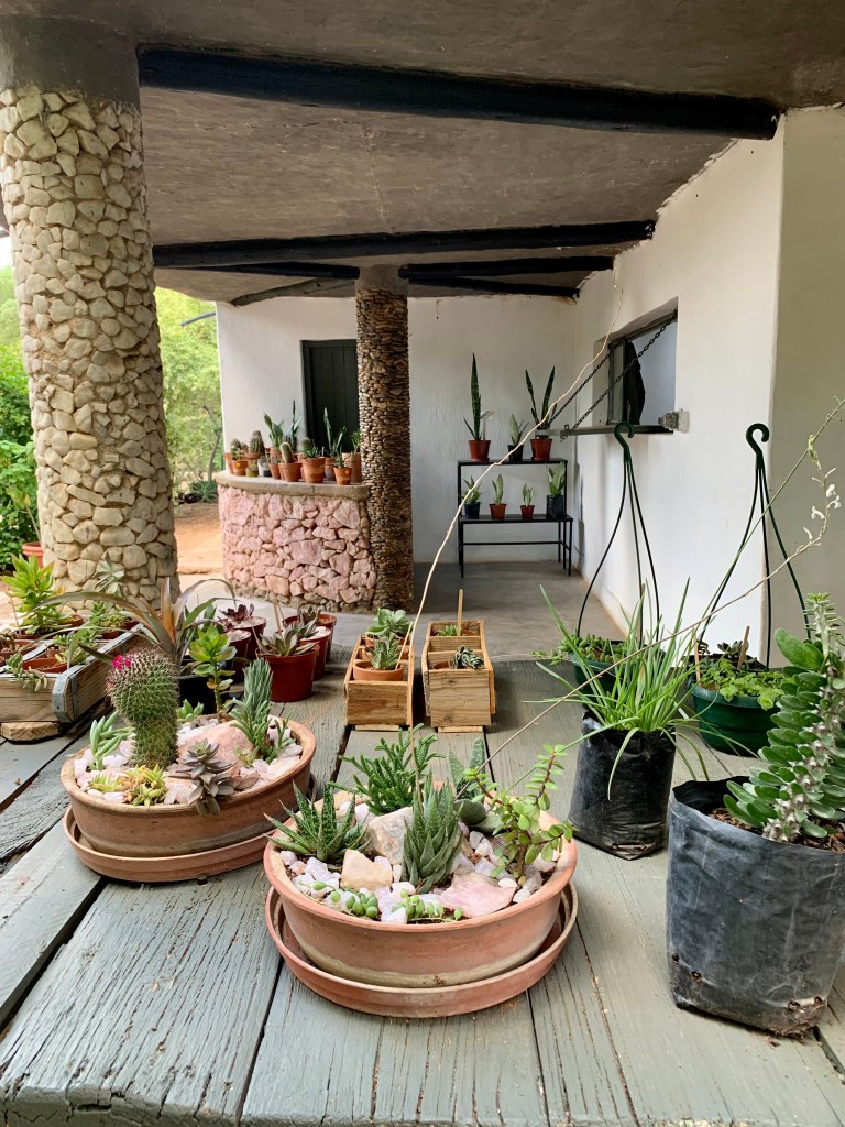 Locations – Quiver Tree Route